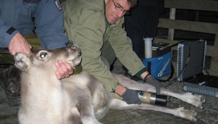 Can animals and plants tolerate more radioactivity than us?