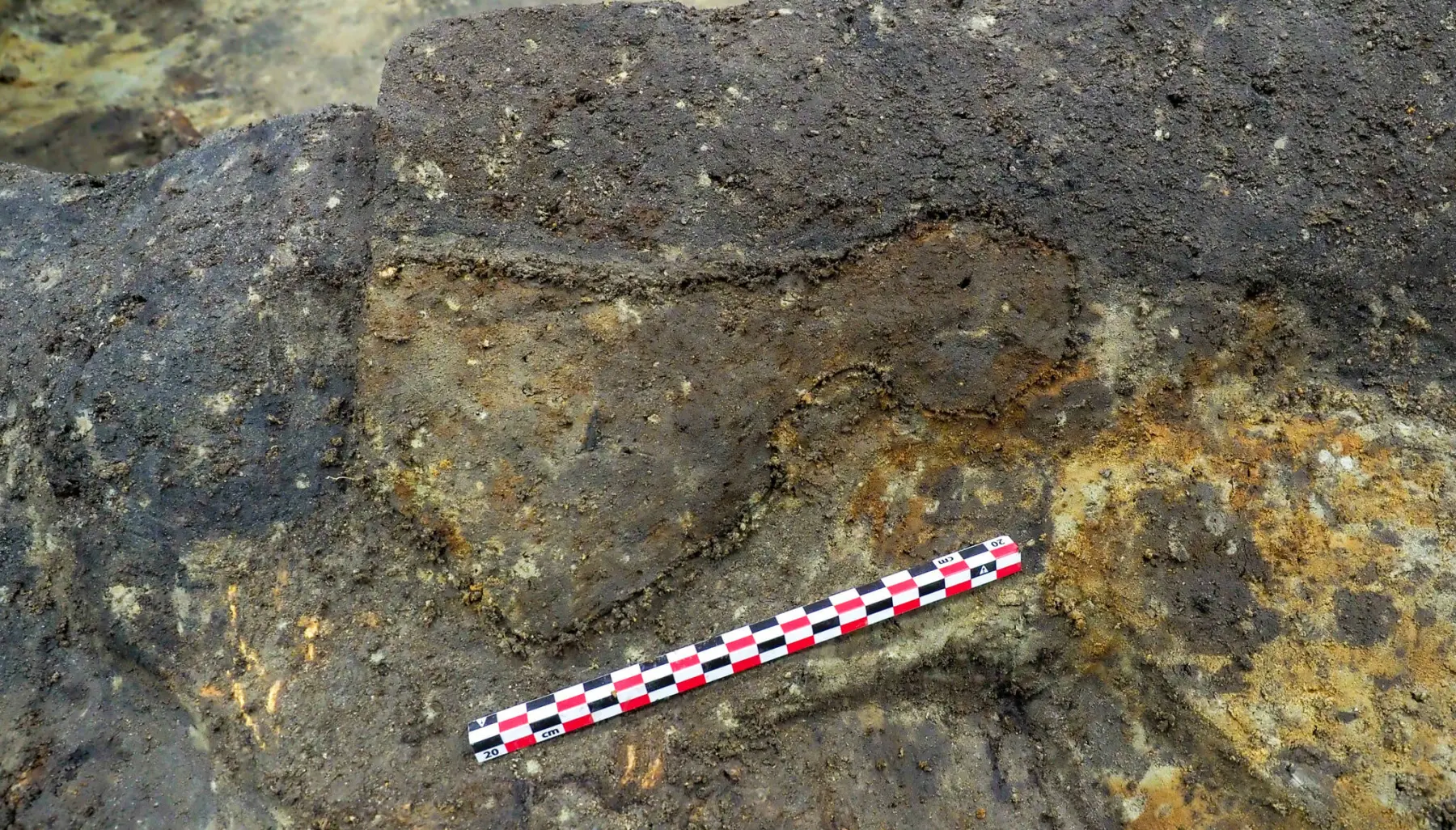 The 12 most exciting finds from the Gjellestad Viking ship dig